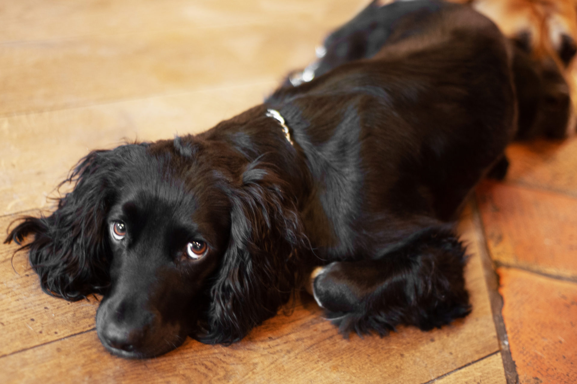 The Stables, Whitby | The Inn Collection Group