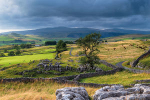 The Ripon Inn | North Yorkshire | The Inn Collection Group