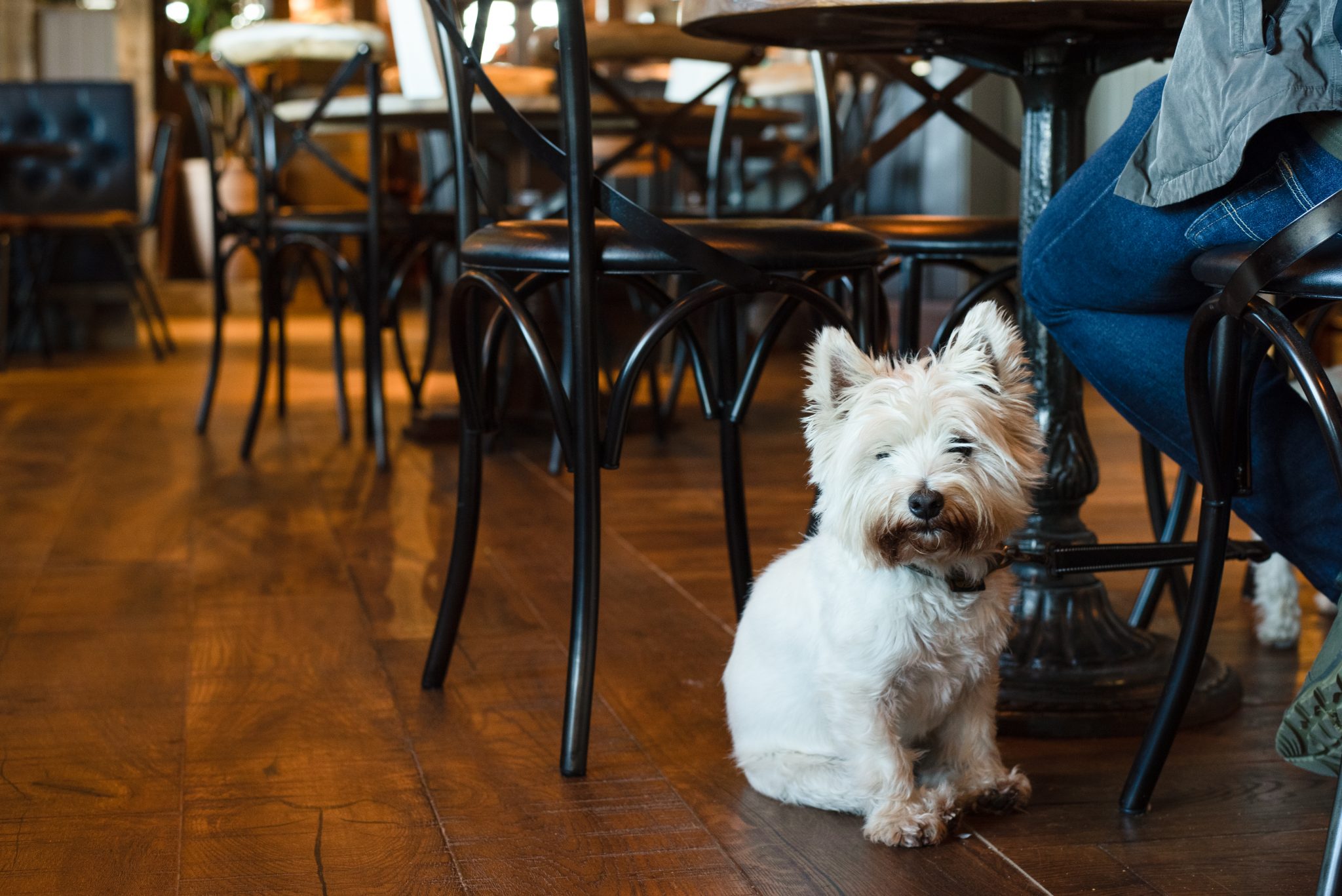 The Tynemouth Castle Inn | The Inn Collection