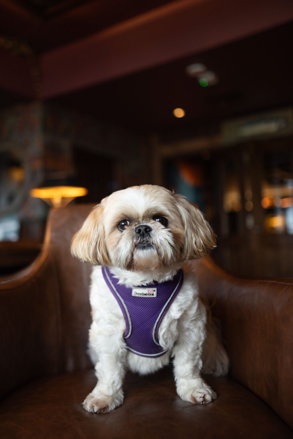 The Tynemouth Castle Inn | The Inn Collection Group