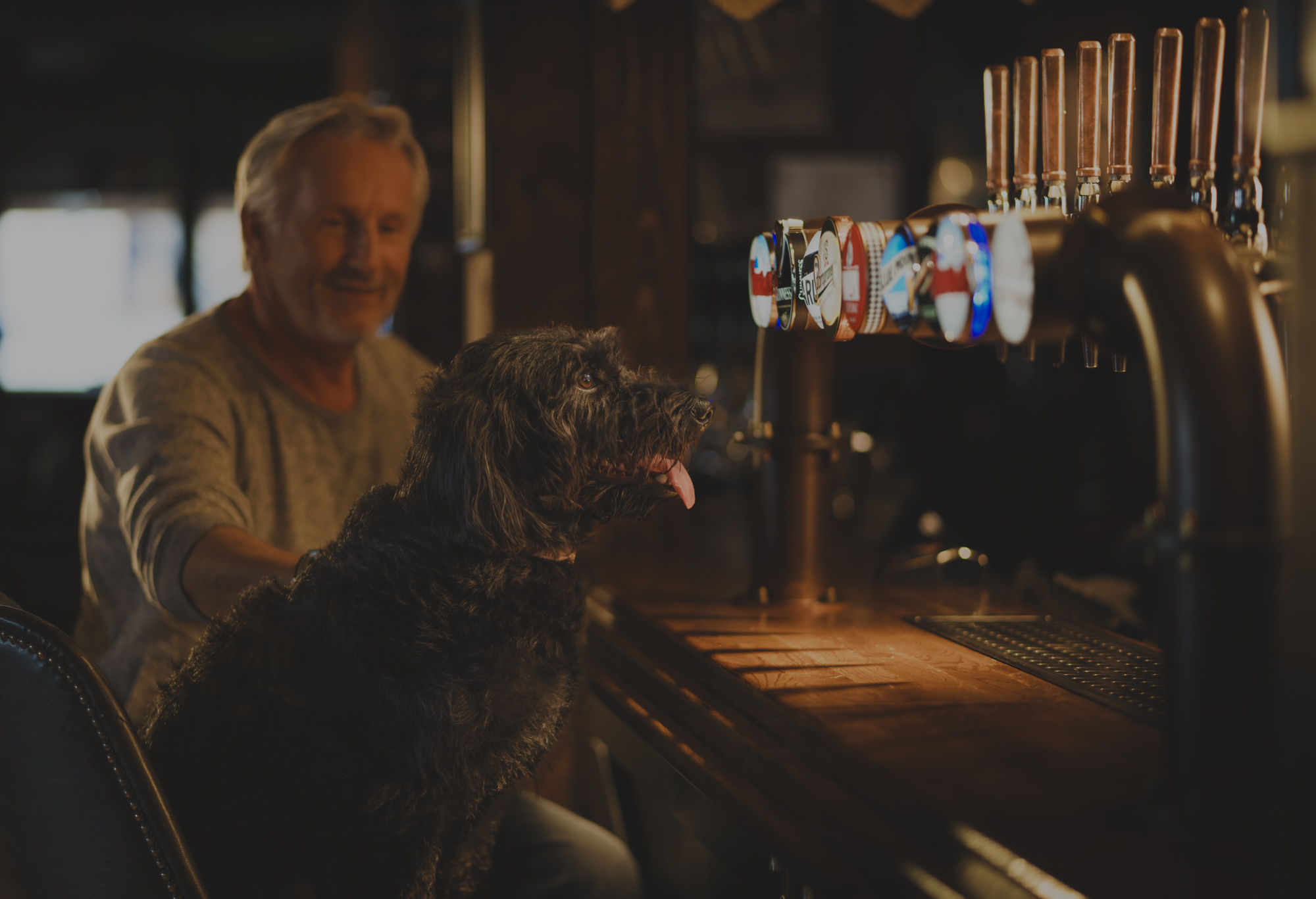 The Temperance Inn | The Inn Collection Group